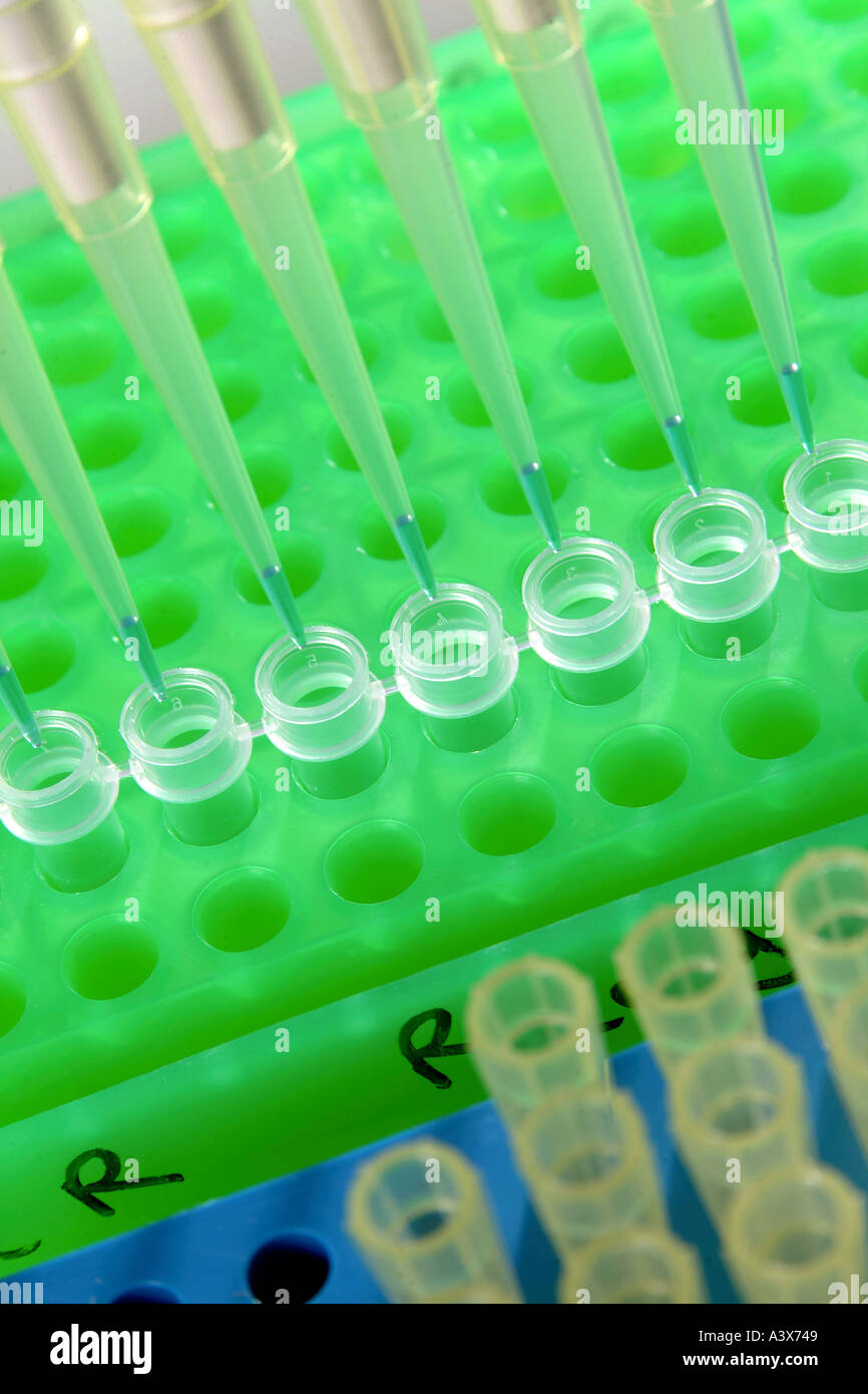 DNA laboratory, photo by Bruce Miller Stock Photo - Alamy