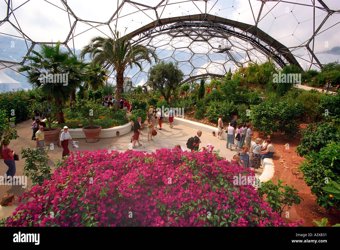 Visitors To The Tropical Rainforest Biome At The Eden