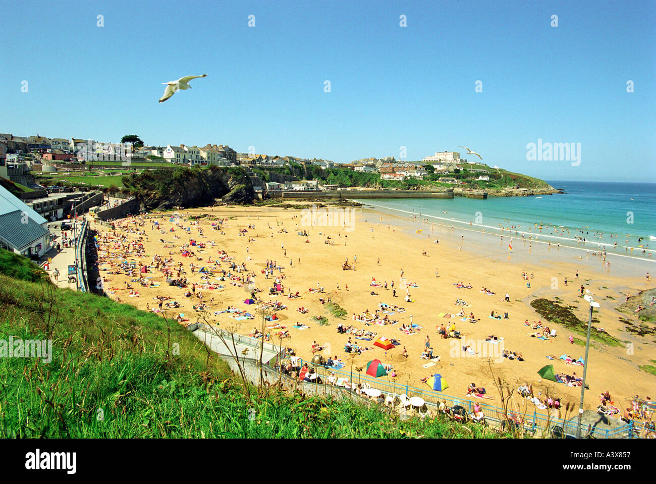 Towan Beach in Newquay in Cornwall Britain UK Stock Photo - Alamy