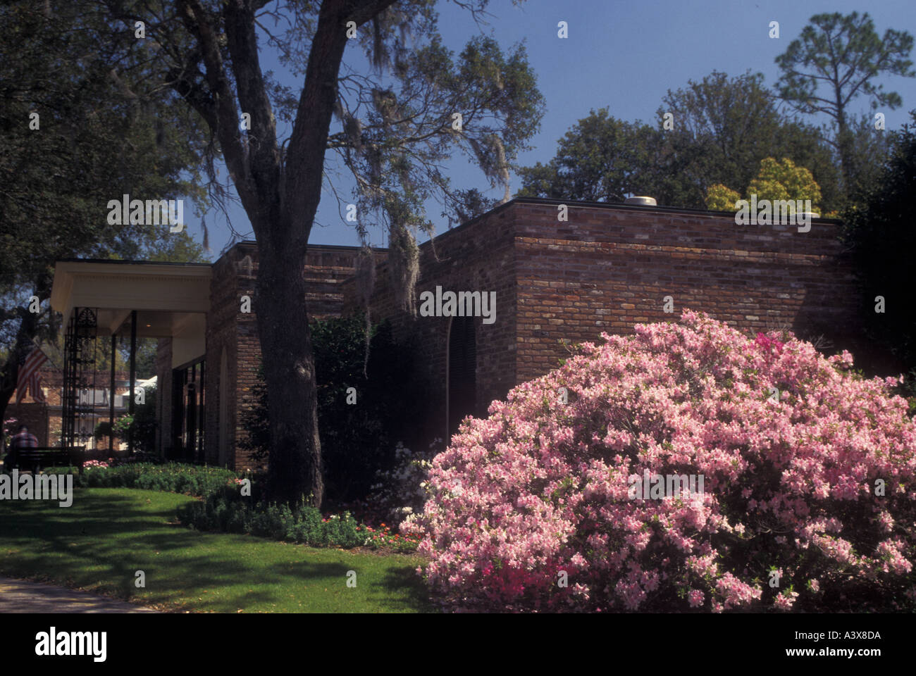 Theodore southern hi-res stock photography and images - Alamy