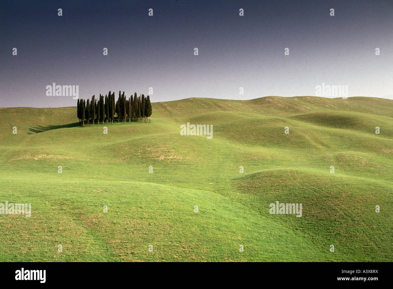 geography / travel, Italy, Tuscany, landscape / landscapes, landscape ...