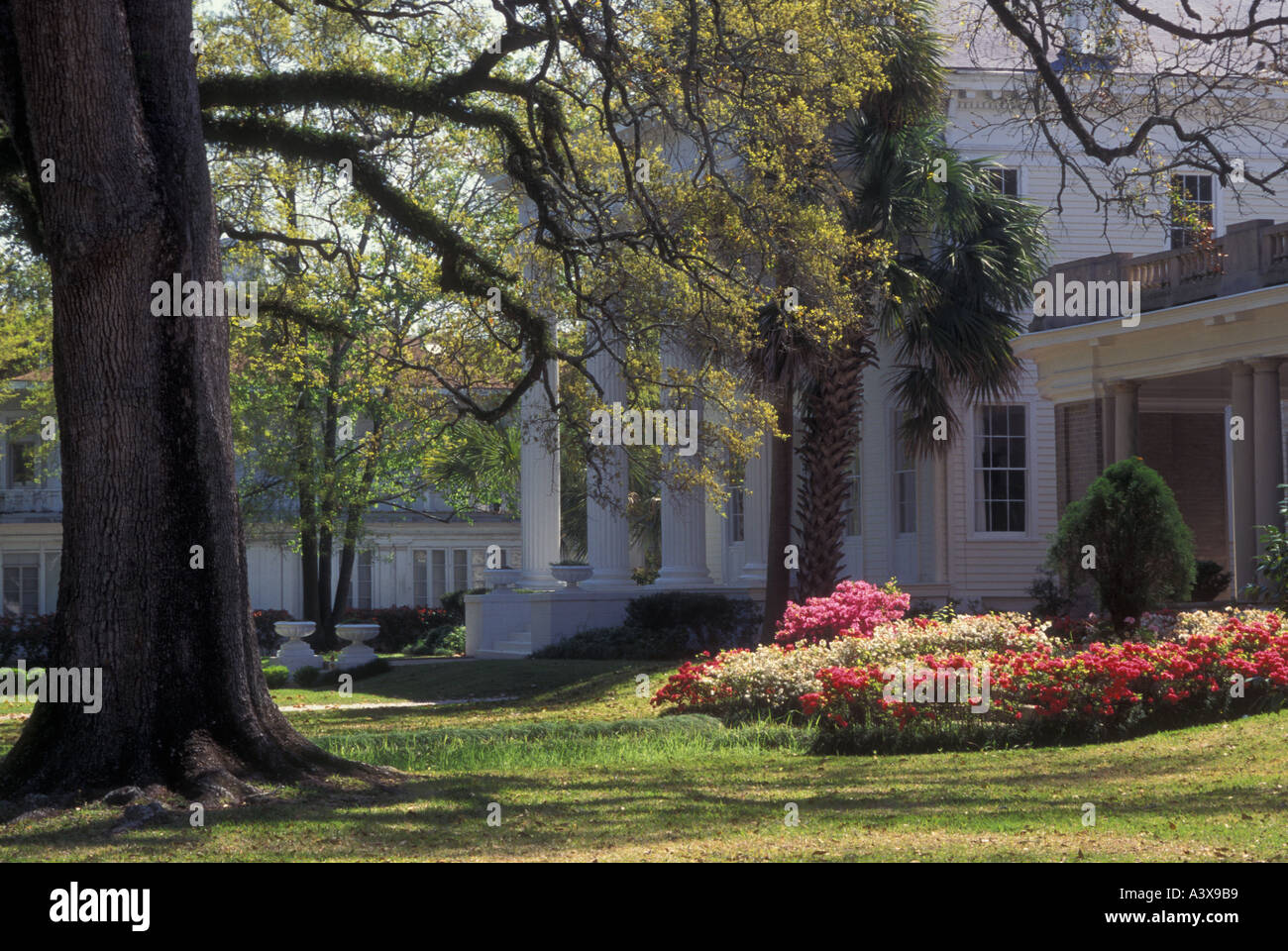 AJ23317, Mobile, AL, Alabama Stock Photo - Alamy