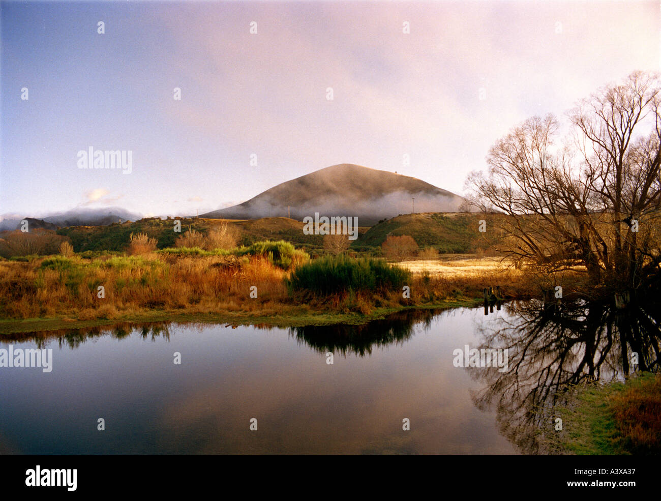 A river in New Zealand Stock Photo - Alamy