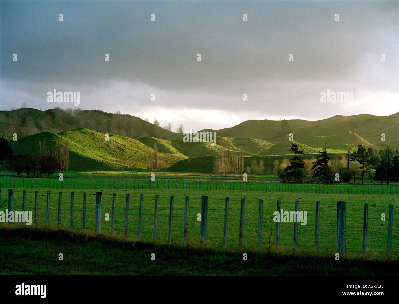 New Zealand landscape Stock Photo - Alamy