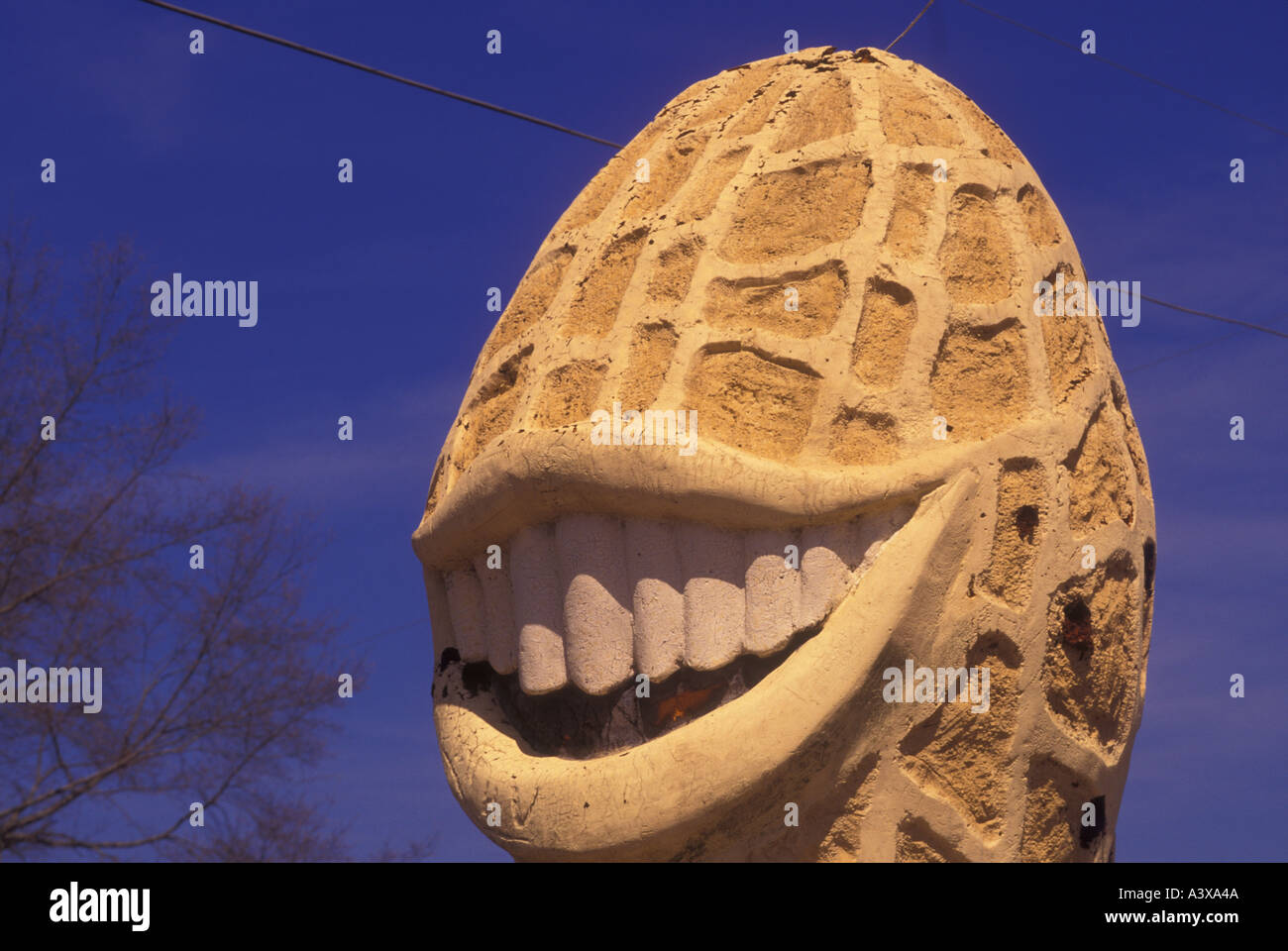 Jimmy carter plains georgia peanut hi-res stock photography and images ...