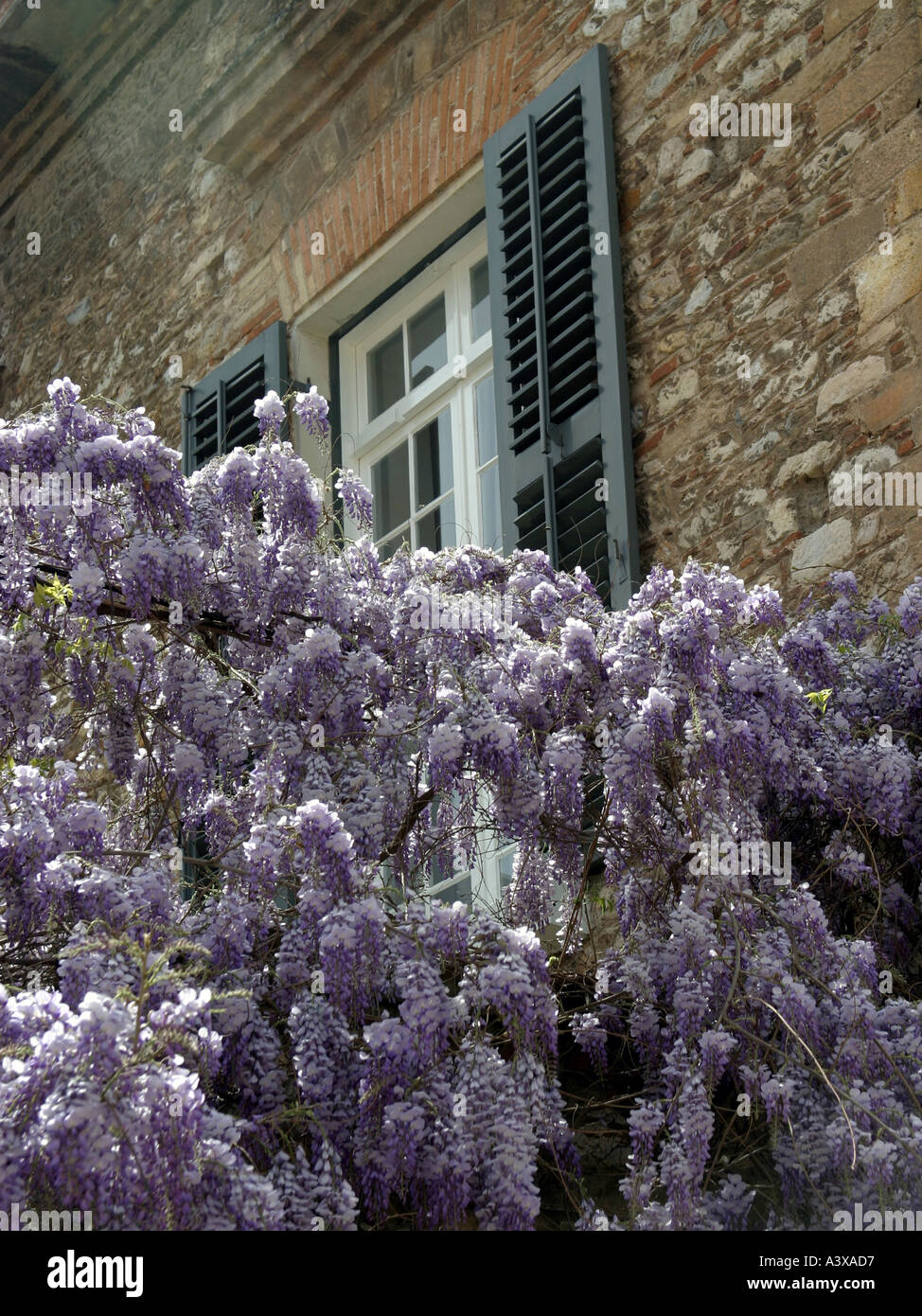 Locust street hi-res stock photography and images - Alamy