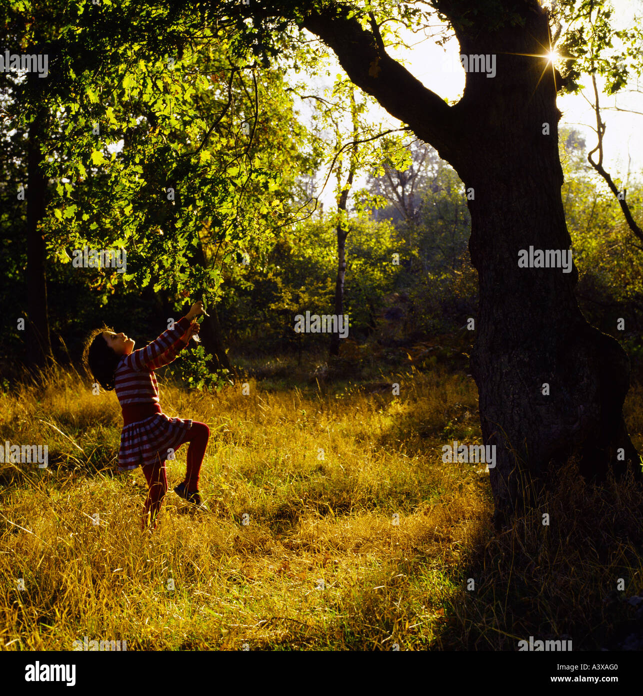 The stew ponds hi-res stock photography and images - Alamy
