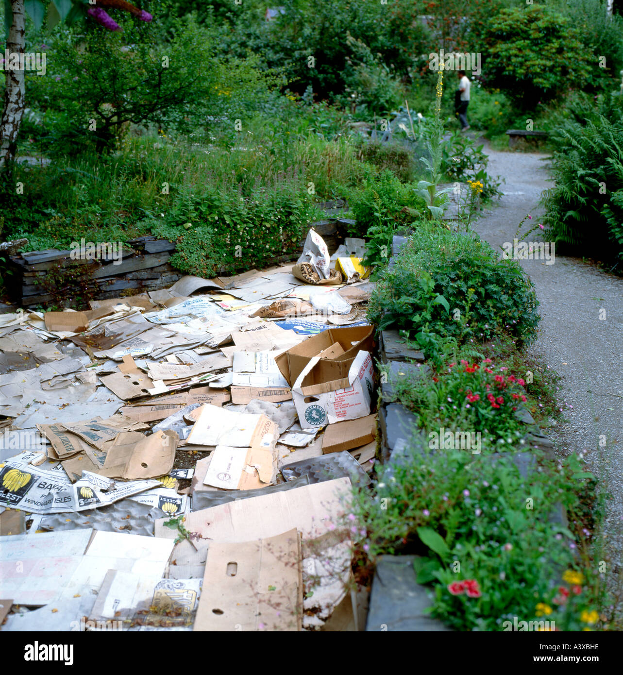 Recycled boxes being used recycling recycle as mulch to retain water ...