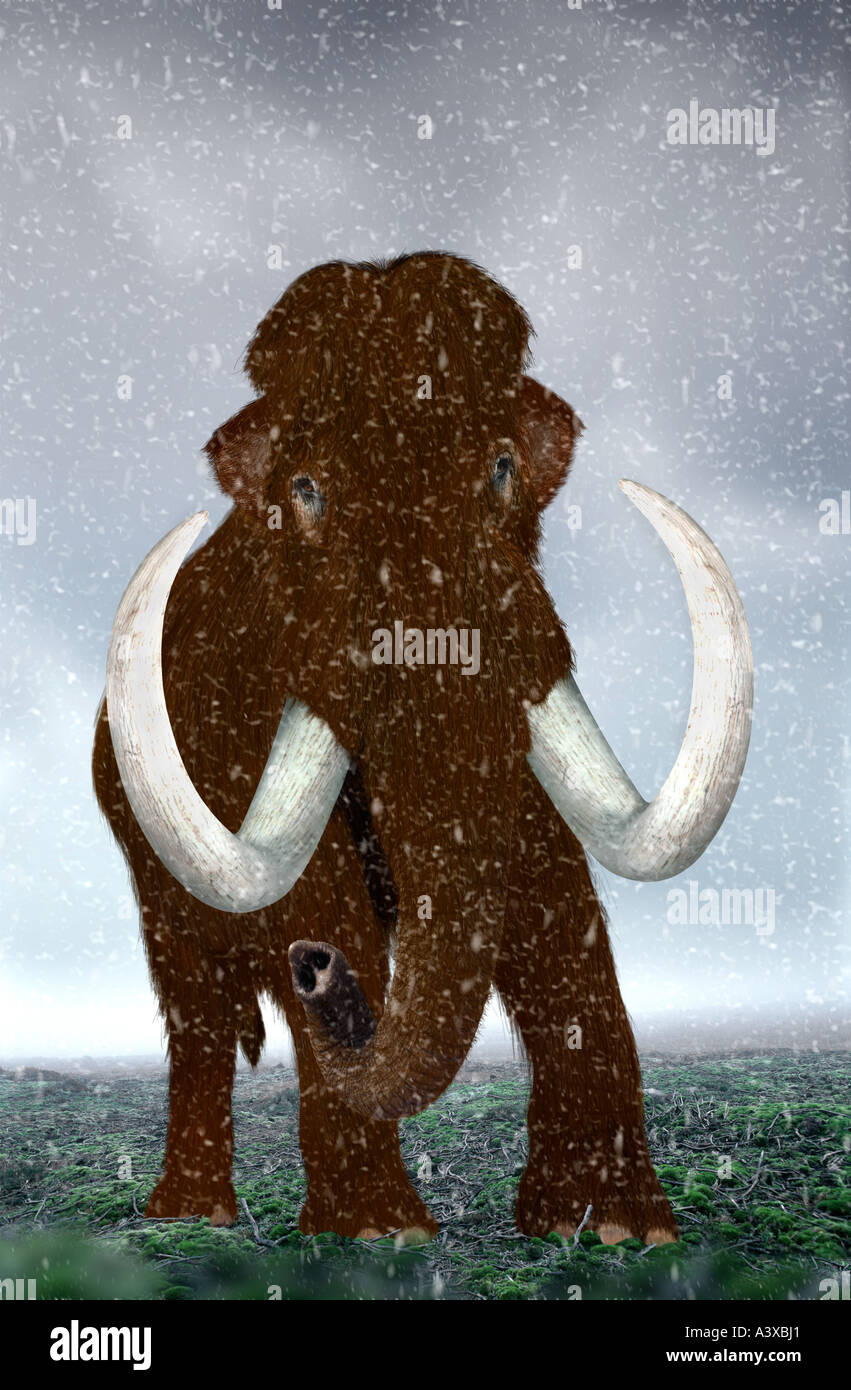 MAMMOTH in blizzard Mammuthus sp. "Woolly Mammoth" Mammuthus ...