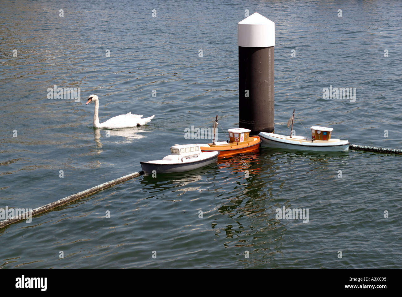 Model boats and a swan in marina Stock Photo - Alamy