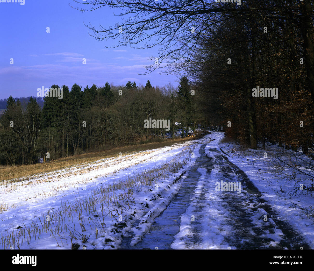 Balver wald hi-res stock photography and images - Alamy