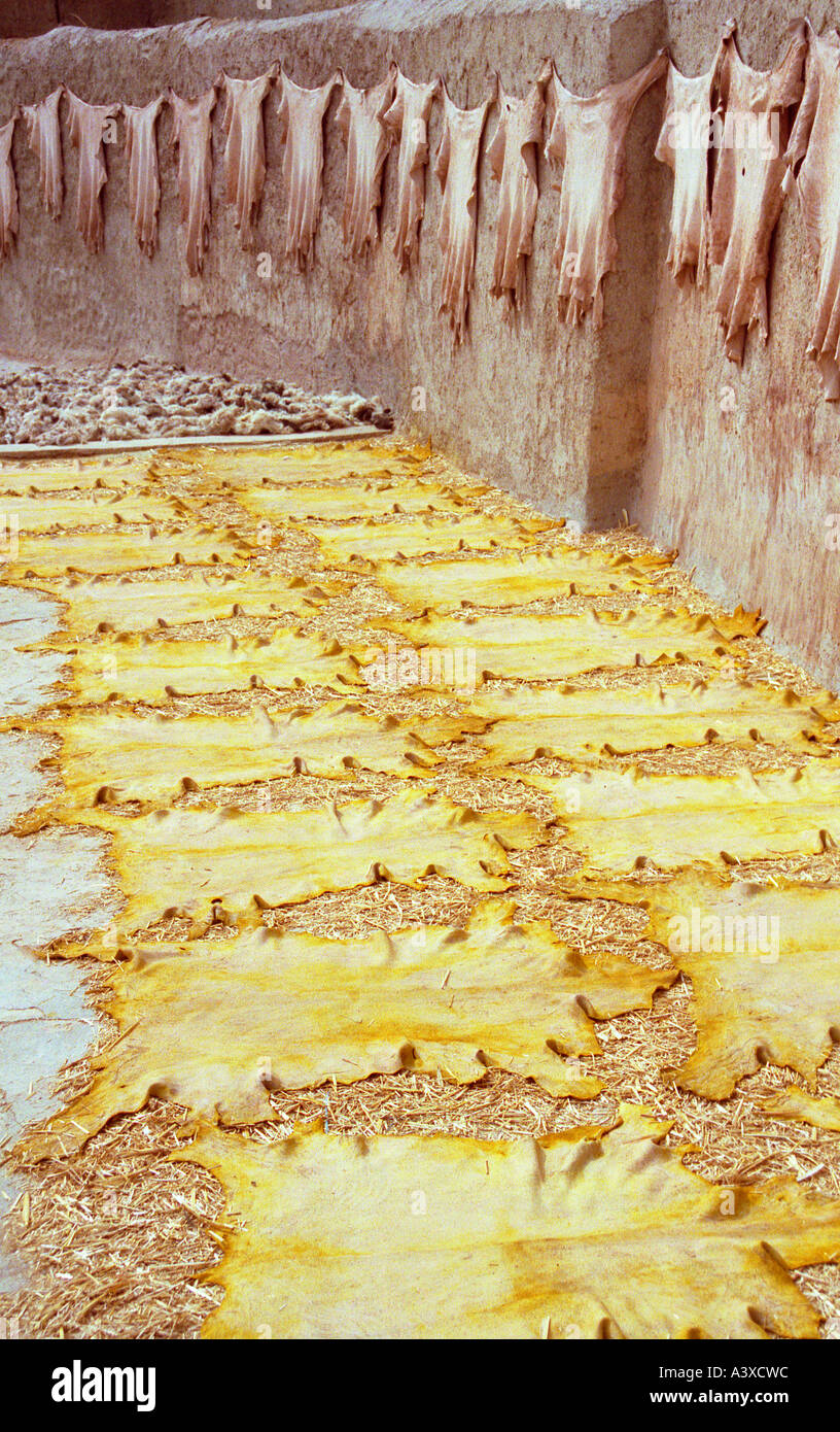 Drying dyed hides on the roof terraces of the tanneries Stock Photo - Alamy