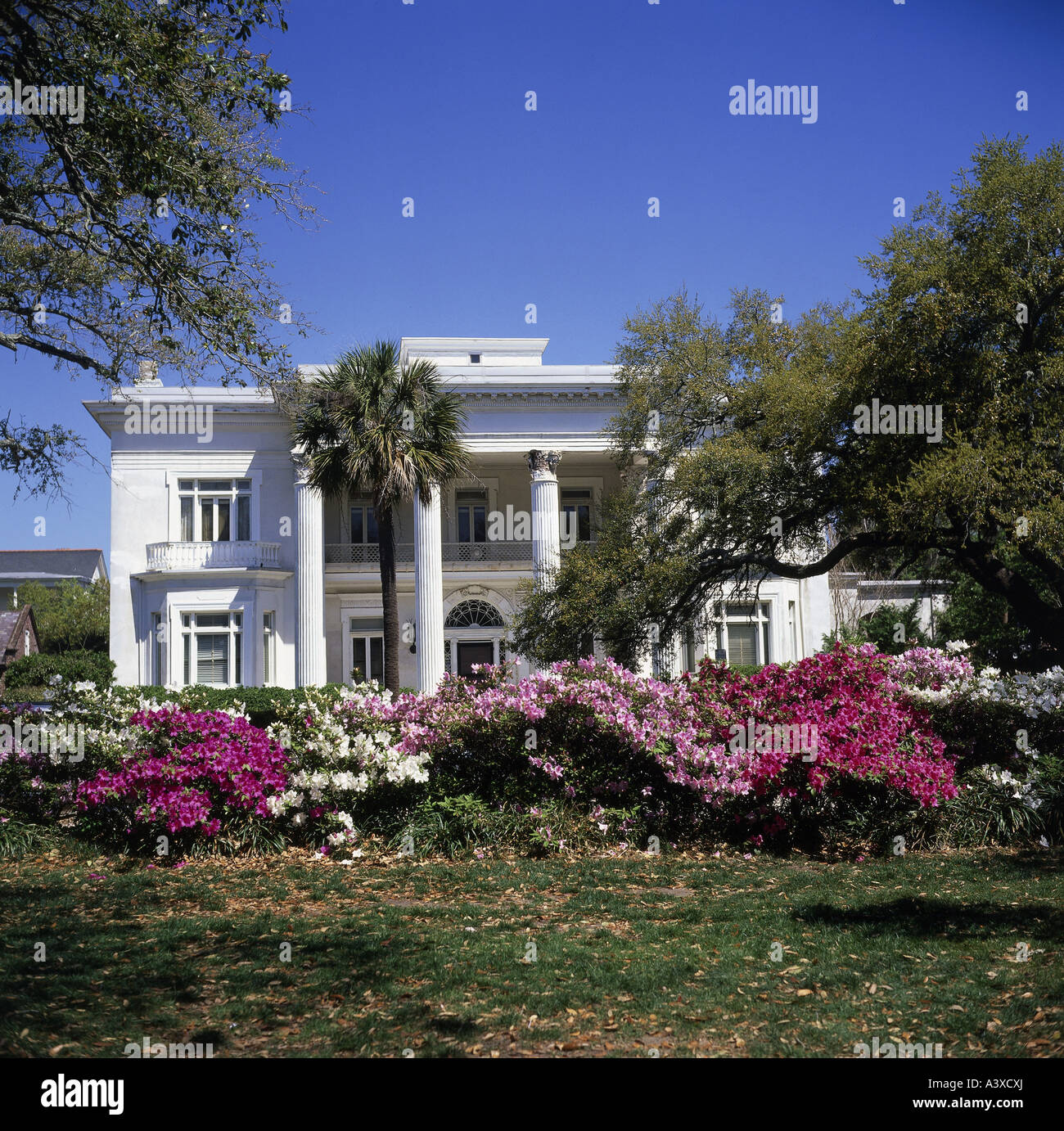 geography / travel, USA, South Carolina, Charleston, city views ...