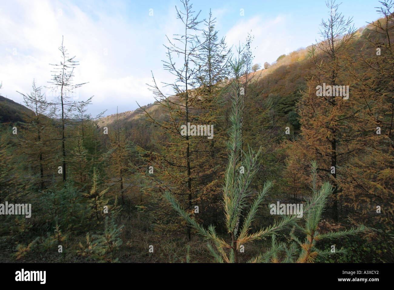 Crumlin, gwent, south wales hi-res stock photography and images - Alamy