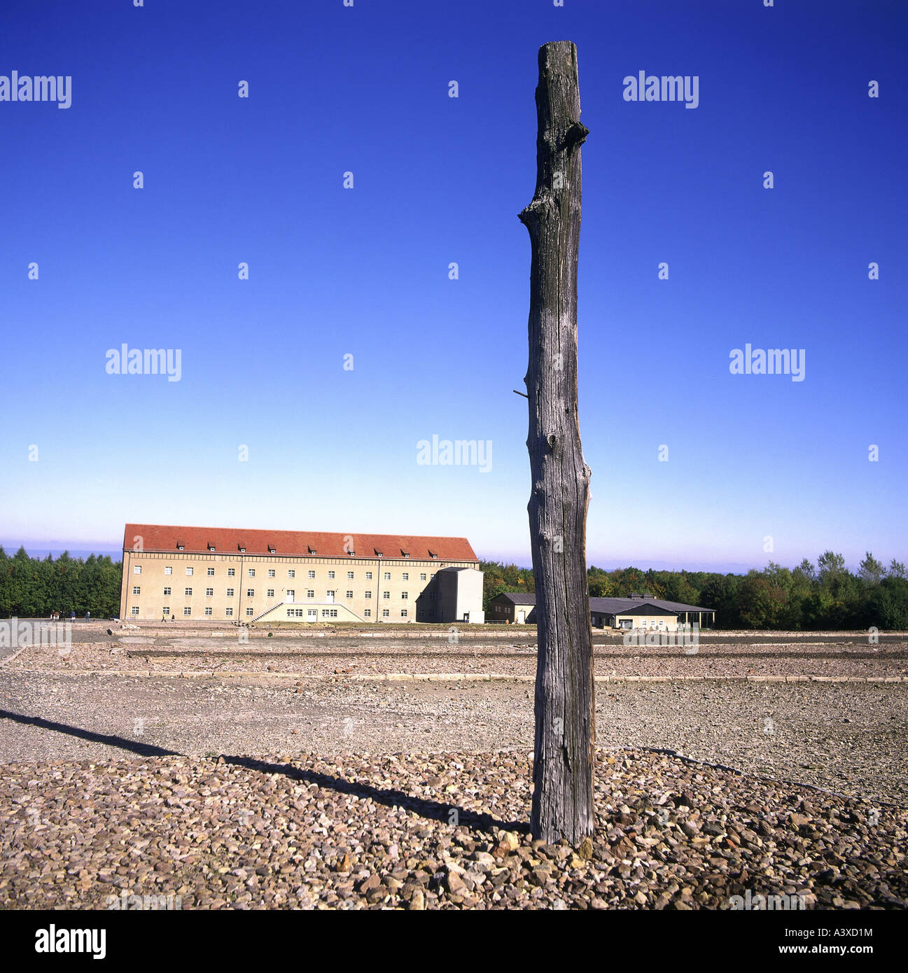 Buchenwald thuringia nazi germany hi-res stock photography and images ...