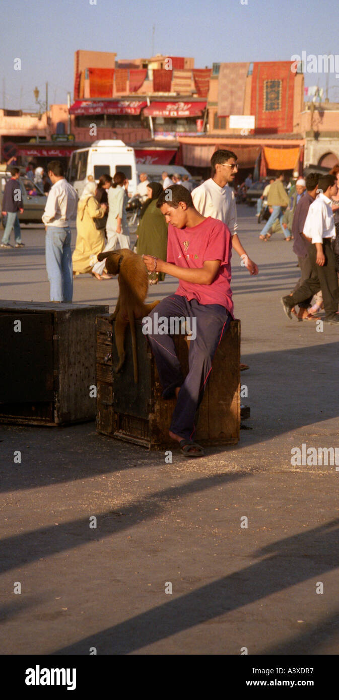 Monkey and owner hi-res stock photography and images - Alamy