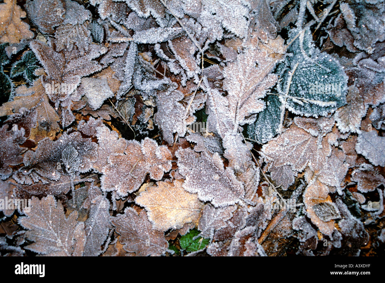 Soil sample bottom ground hi-res stock photography and images - Alamy