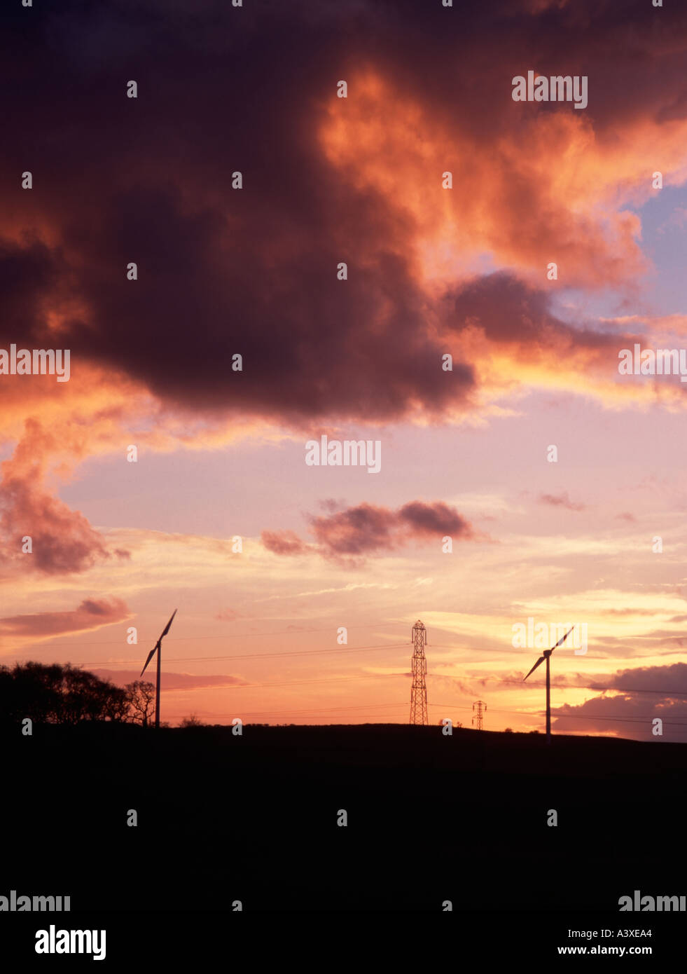 Wind turbines and electricity pylons at sunset, England, UK Stock Photo ...