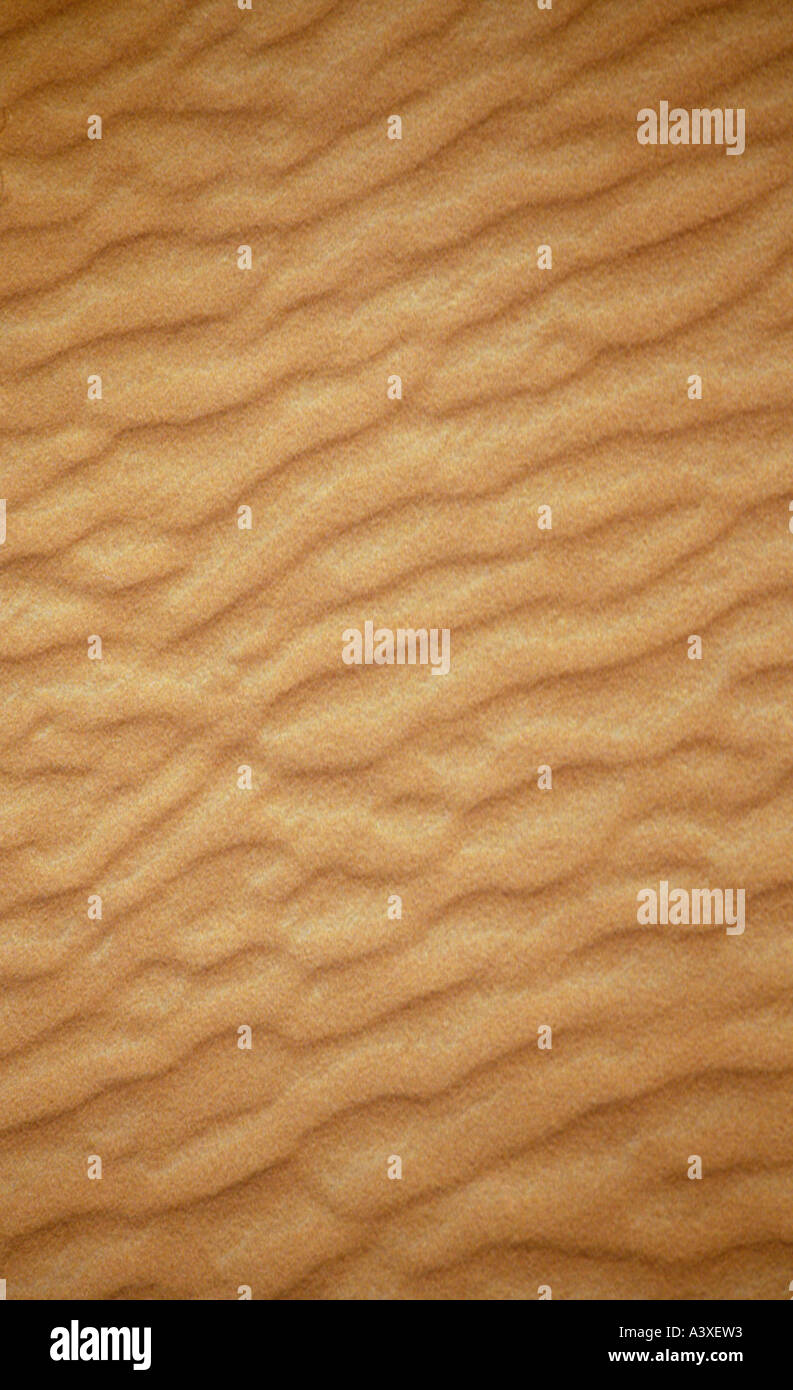 The ripple pattern in the sand of the Sahara at Merzouga, Morocco Stock ...