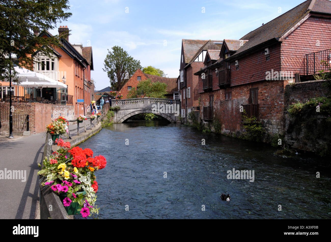 River Itchen Winchester Hampshire England Stock Photo - Alamy