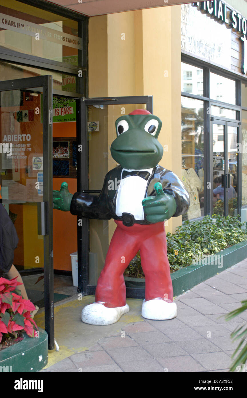 Senior frog hi-res stock photography and images - Alamy