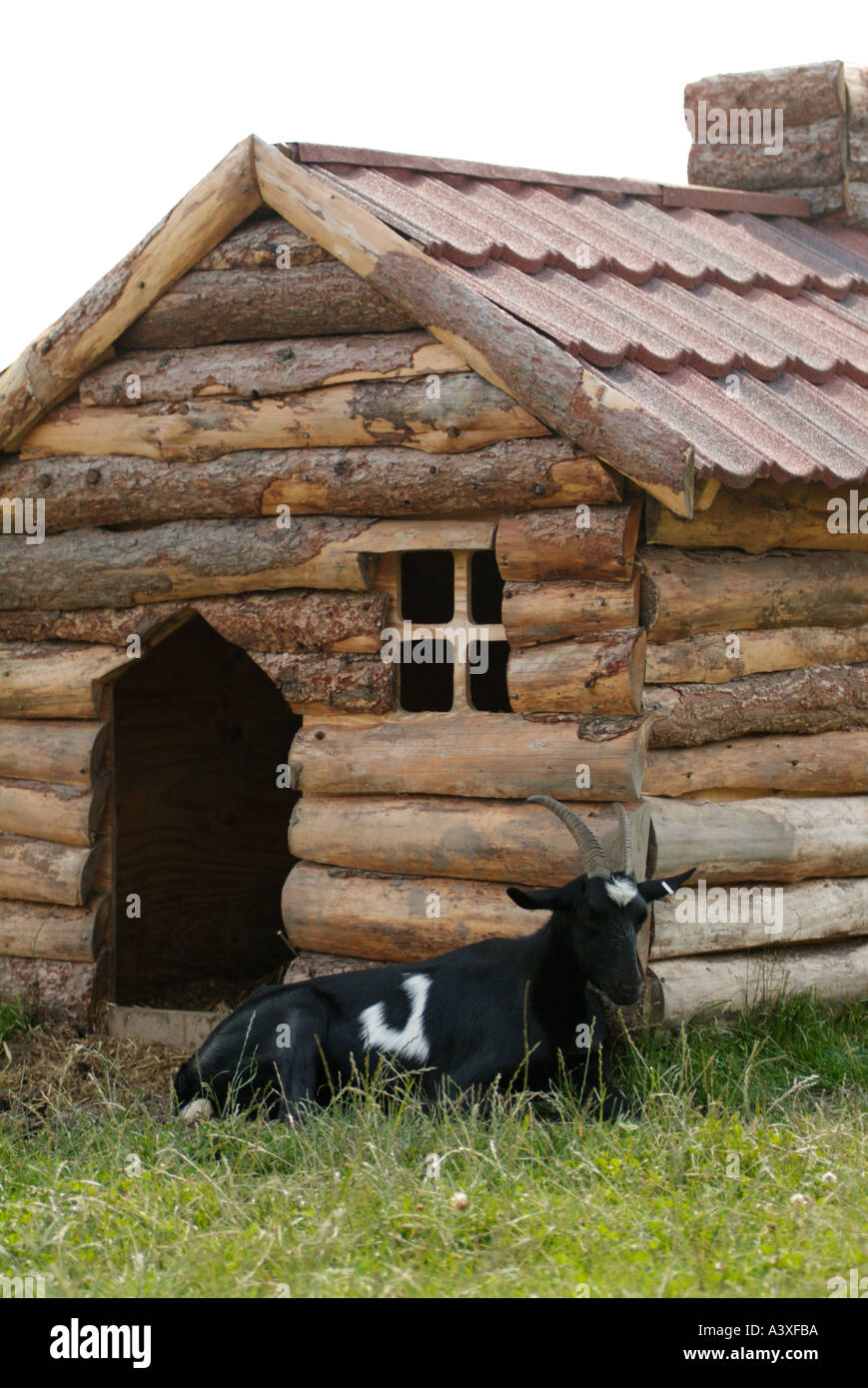 goat billy hut house log cabin field farm farming agriculture defra ...