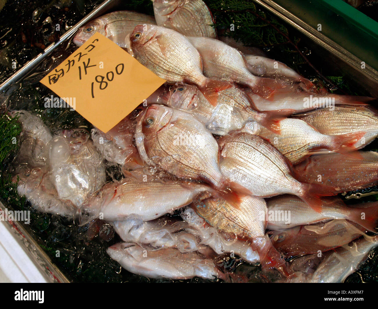 fish market in Japan Stock Photo - Alamy