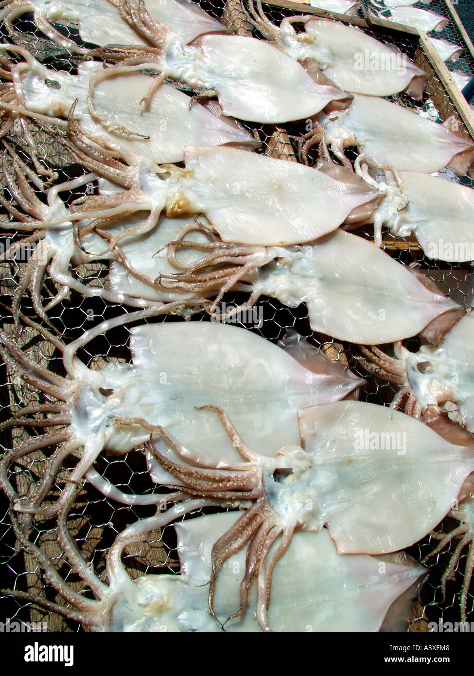 fish market in Japan Stock Photo - Alamy