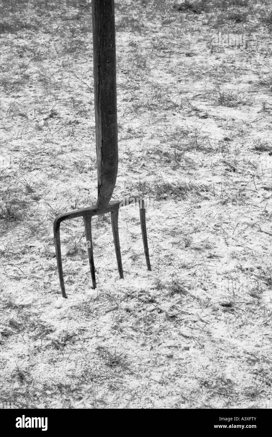 Garden fork in frozen ground Stock Photo - Alamy