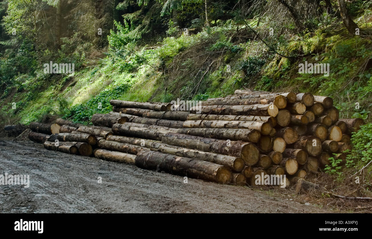 roadside logs waiting collection Stock Photo - Alamy
