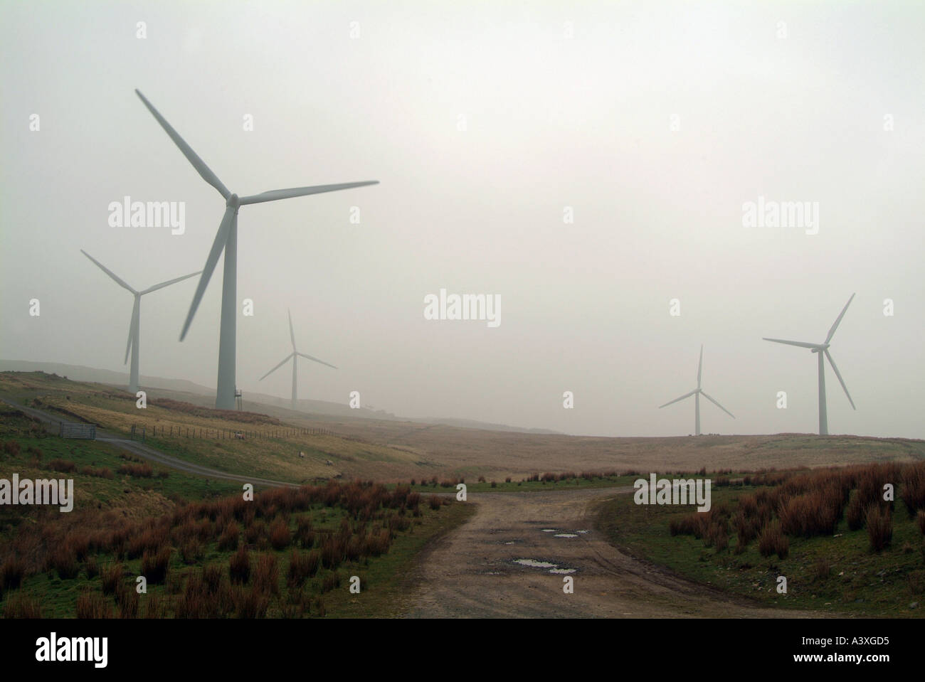 Wind Turbines producing clean green energy through the mist at Lambrigg ...