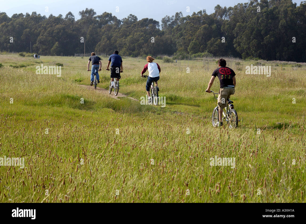 Kids riding bikes through field hi-res stock photography and images - Alamy
