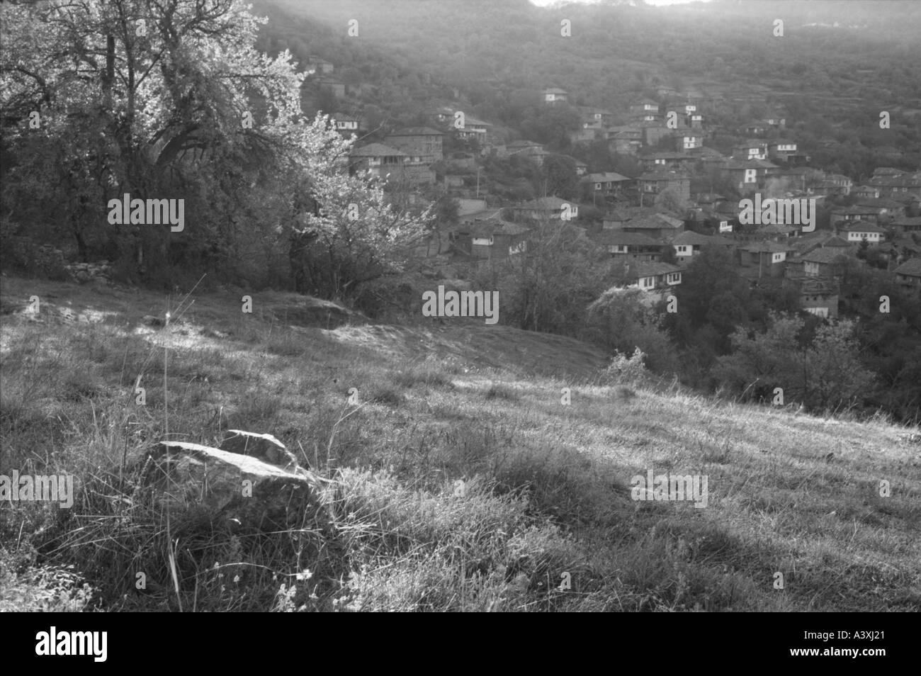 black and white vilich Bulgaria Kovachevica landscape autumn Stock ...