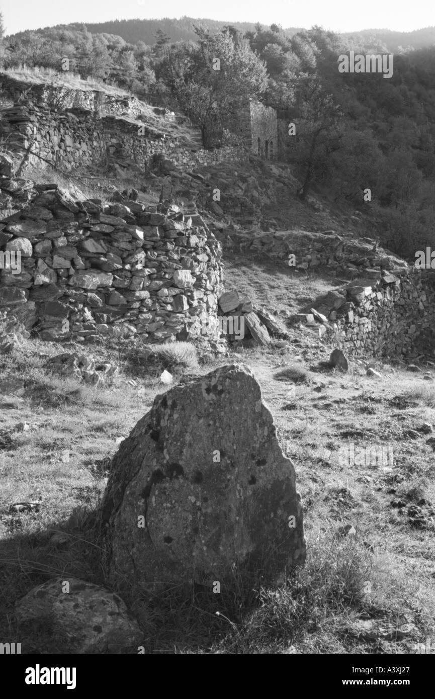 black and white vilich Bulgaria Kovachevica landscape autumn Stock ...