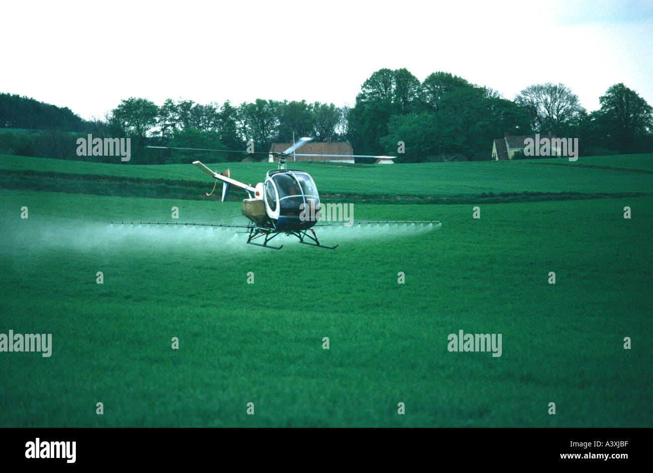 Helicopter spraying pesticides over a cornfield Stock Photo - Alamy