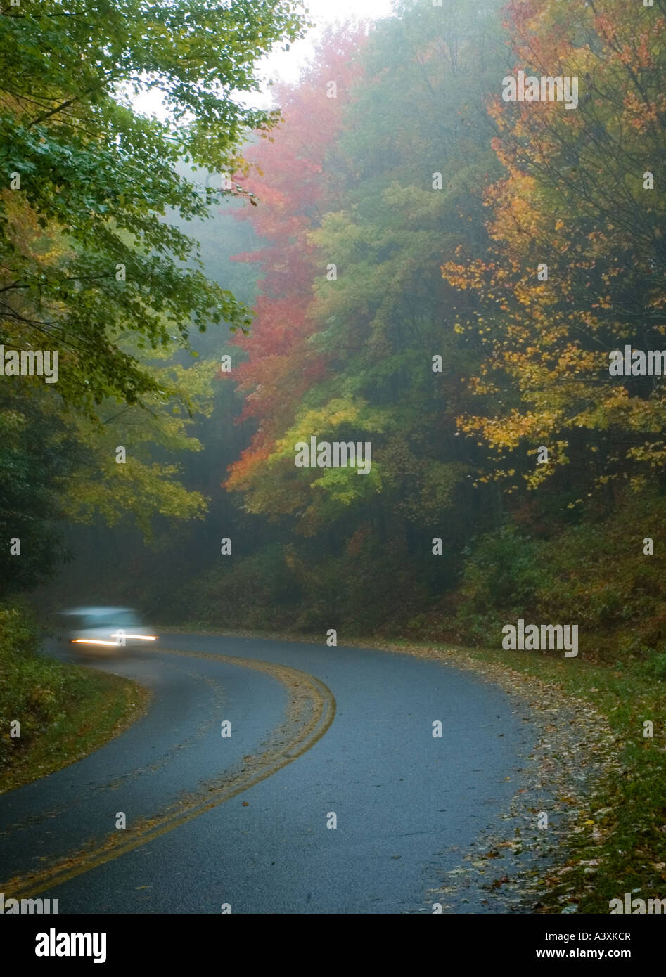 Rainy October day on the Blue Ridge Parkway, North Carolina Stock Photo ...