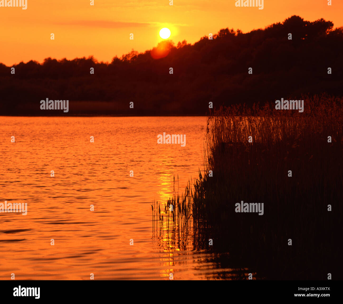 Hatchmere hi-res stock photography and images - Alamy
