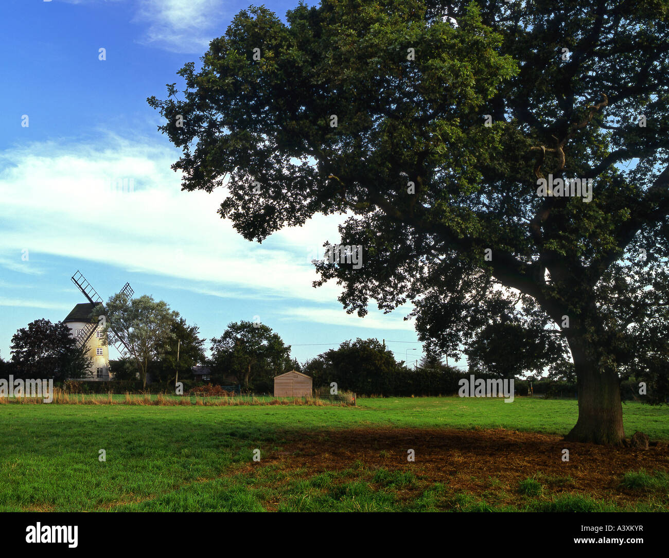 Gibbet Windmill in Summer, Near Great Saughall, Near Chester, Cheshire ...