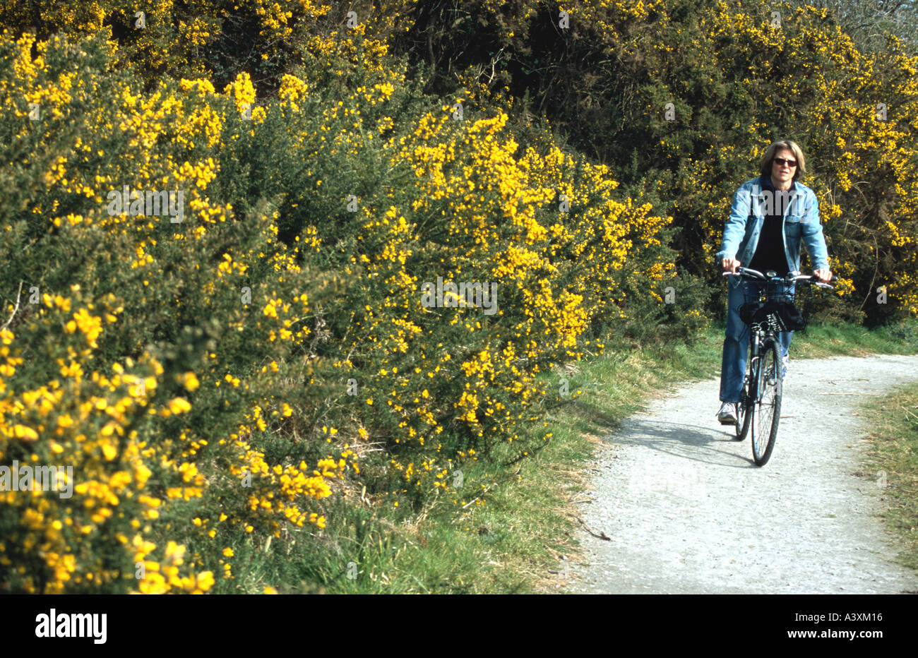 Cycling england hi-res stock photography and images - Alamy