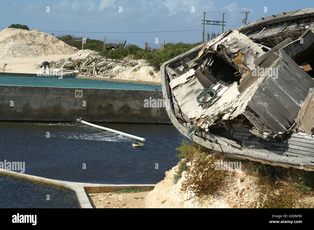 Turks and Caicos Islands Conch farm Providenciales Provo Caribbean West ...