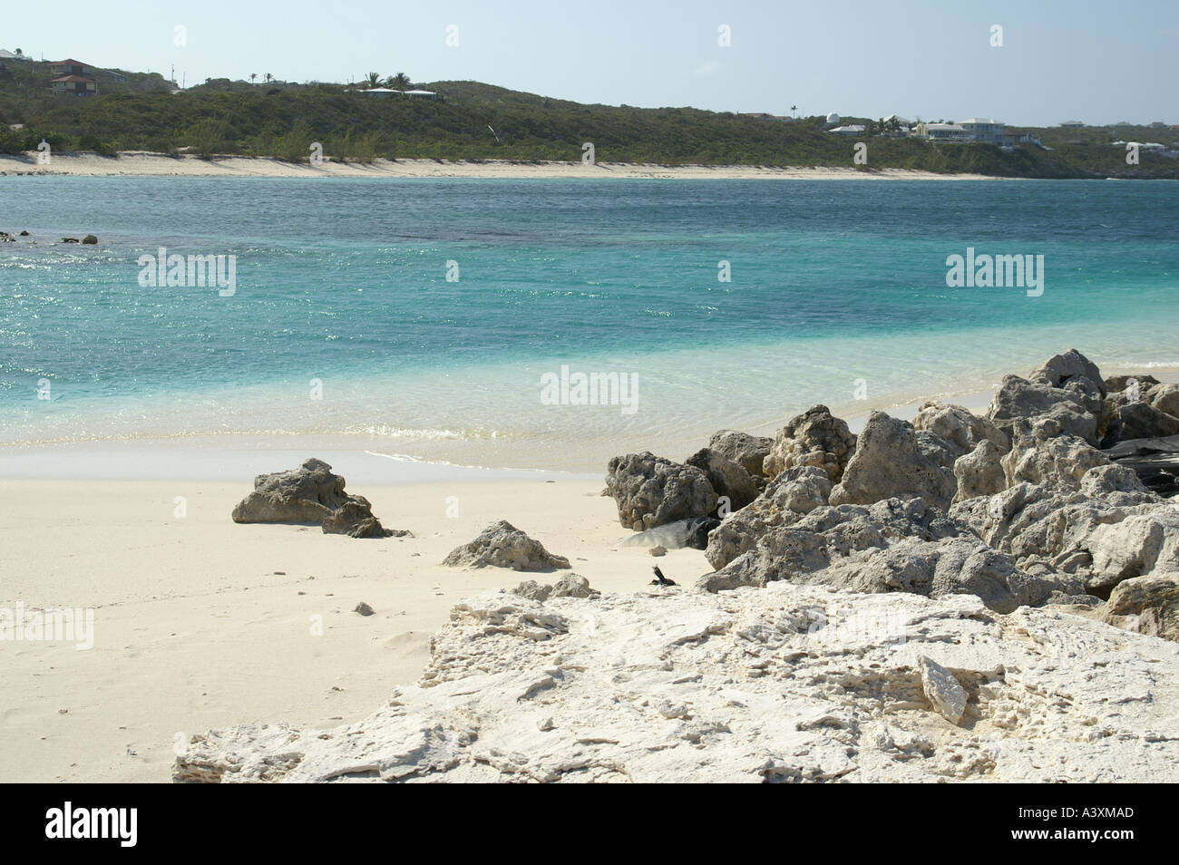 Turtle Cove Grace Bay Turks and Caicos Islands Providenciales Provo ...