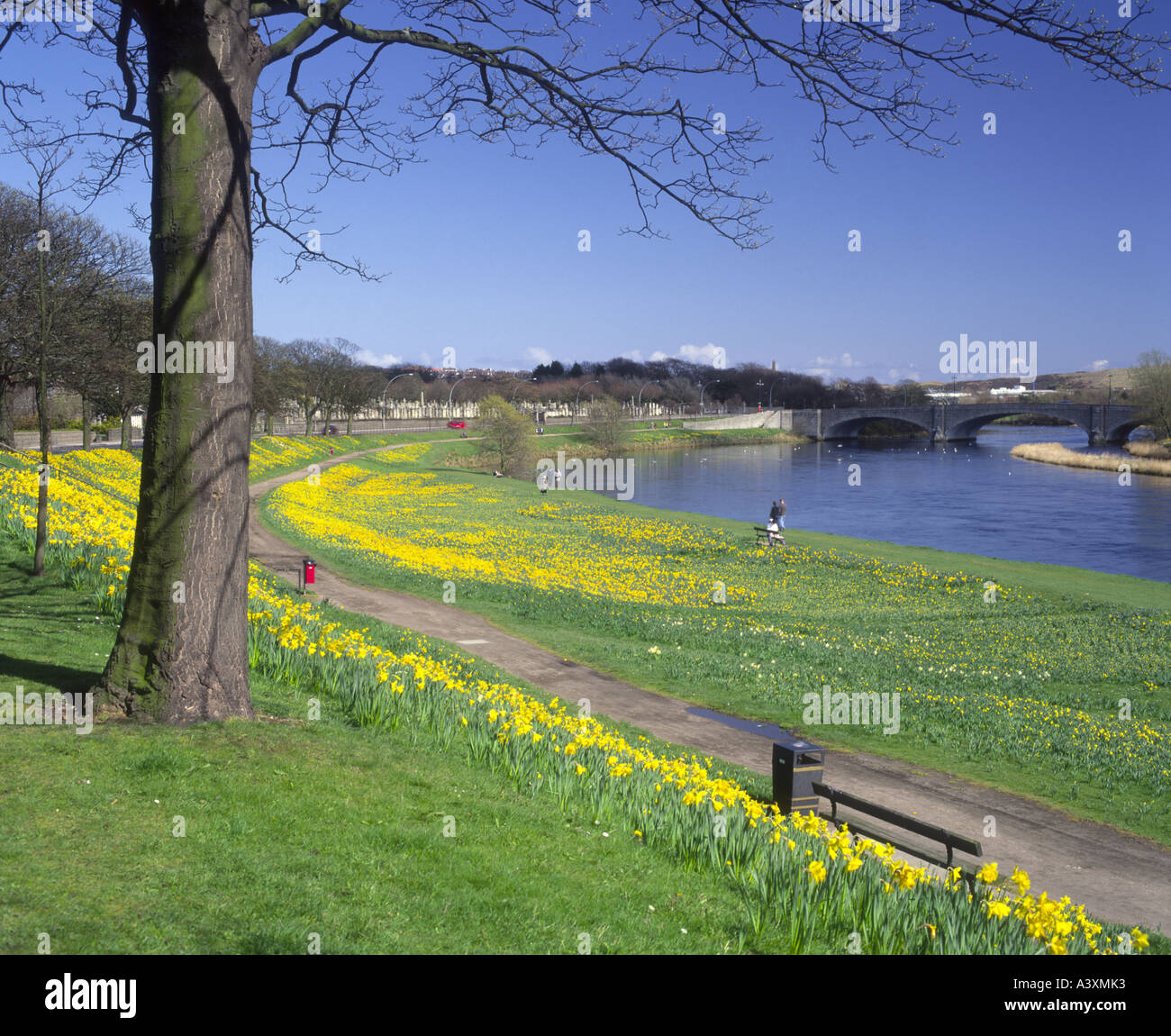 Spring time in Aberdeen Stock Photo - Alamy