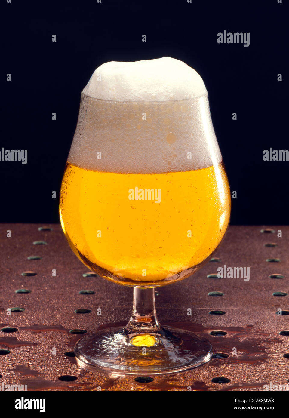 glass of beer pils Stock Photo - Alamy