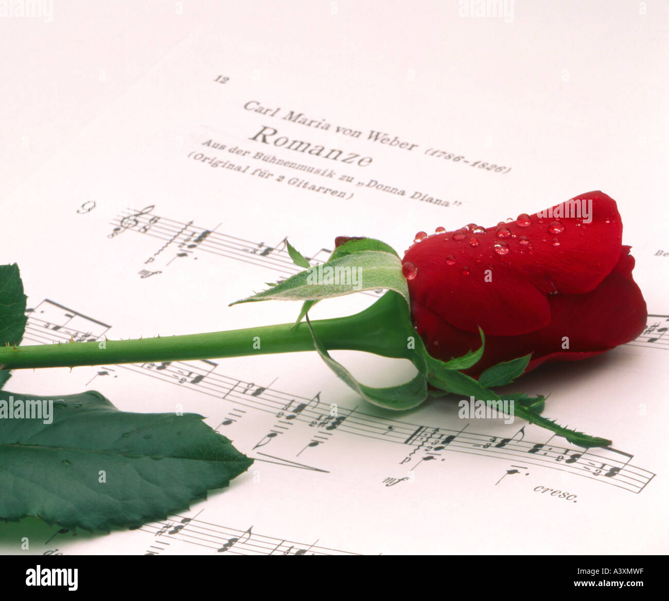 red rose on sheet of music Stock Photo - Alamy