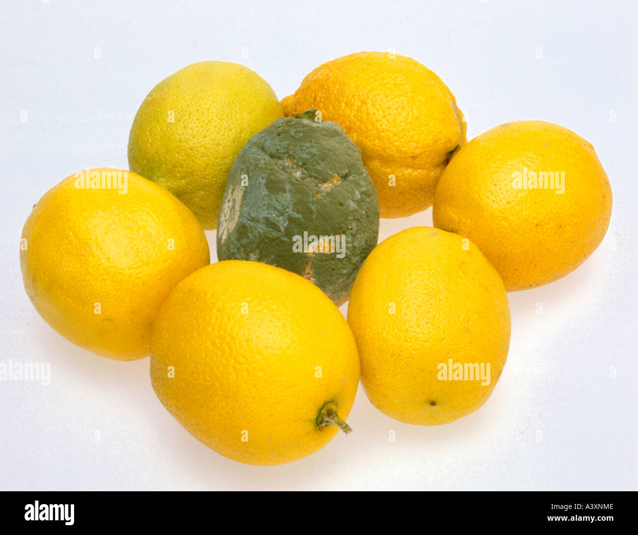 Lemons with mold hi-res stock photography and images - Alamy