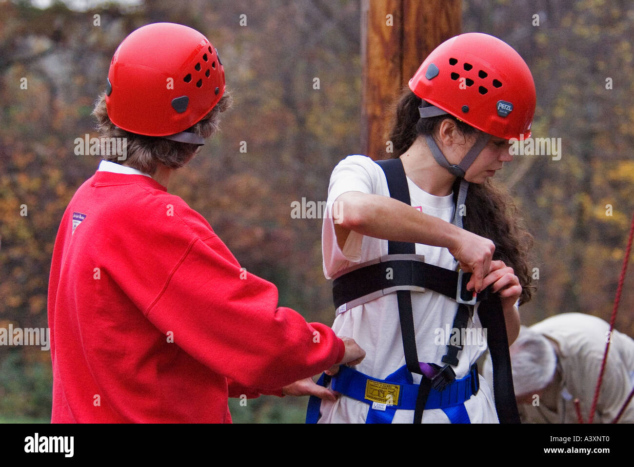 Teenage Girl Chaperone Connecting Harness In Preparation Of ...