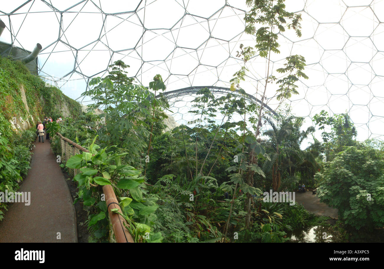Interior view eden project hi-res stock photography and images - Alamy