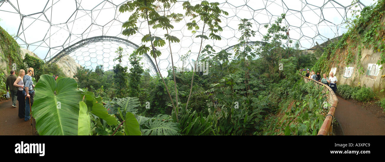 Interior view eden project hi-res stock photography and images - Alamy