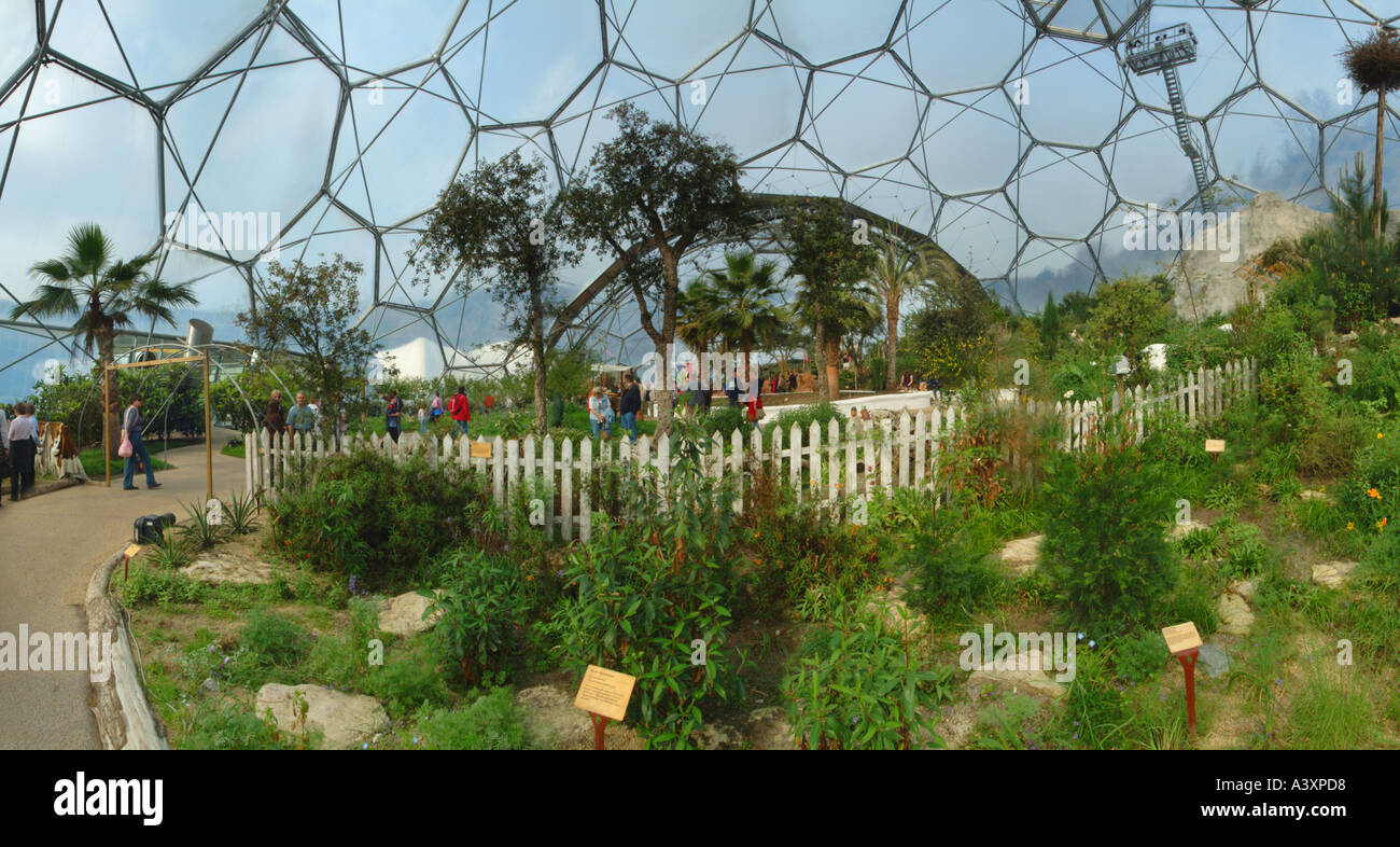 Interior view eden project hi-res stock photography and images - Alamy