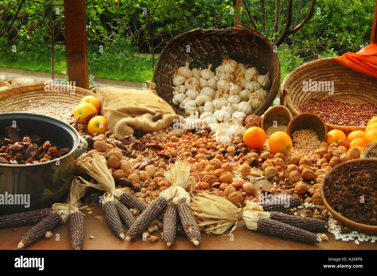 Vegetable Fruit And Nut Crops at Murray Baxter blog